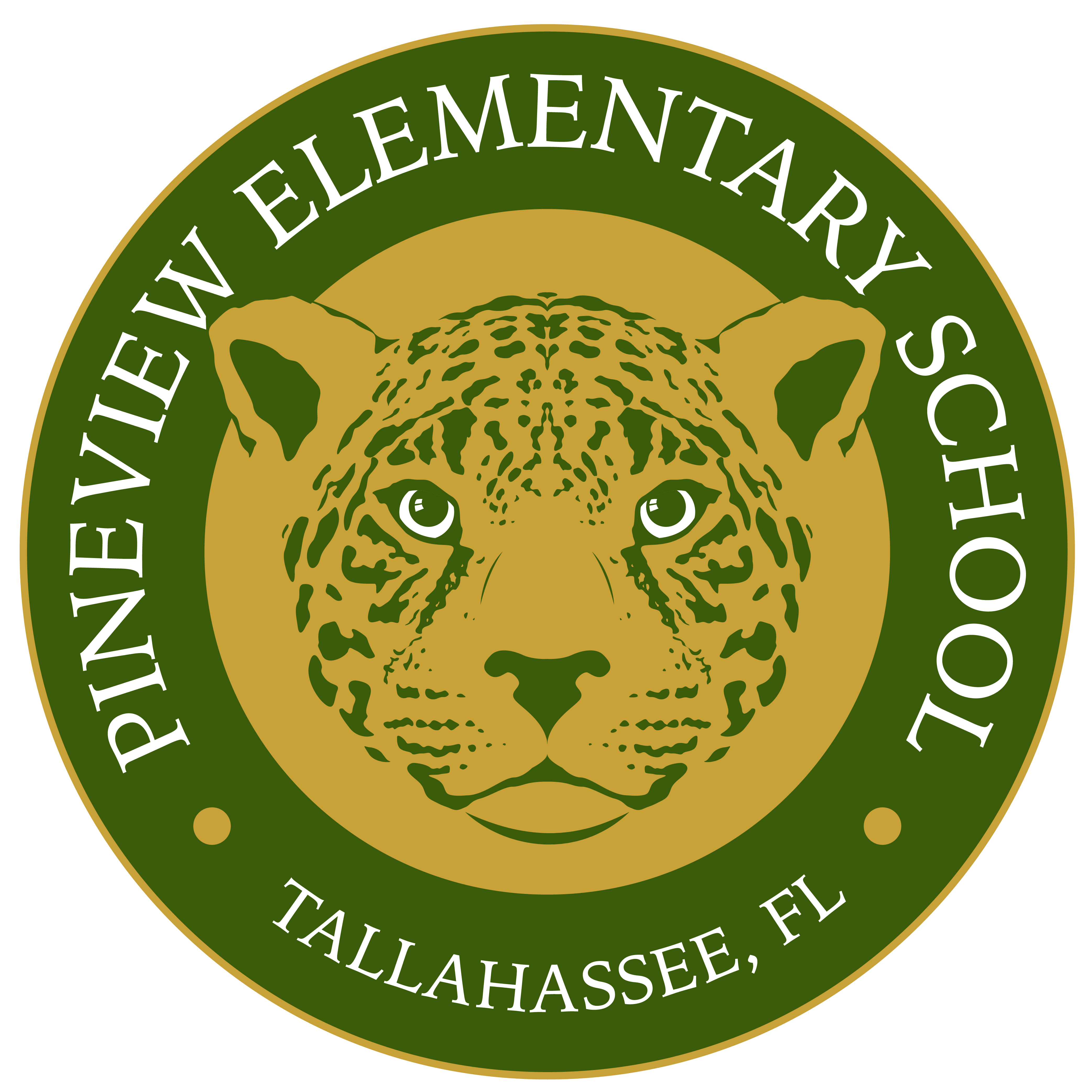 Pineview Elementary / Pineview Elementary School